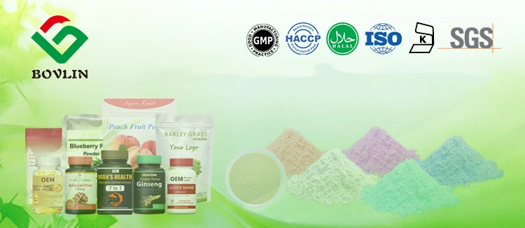 Benefits of Kiwi Fruit Powder in Digestive Products - Bolin